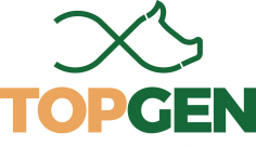 Mortalidade das Matrizes | TOPGEN - Excelência em genética suína